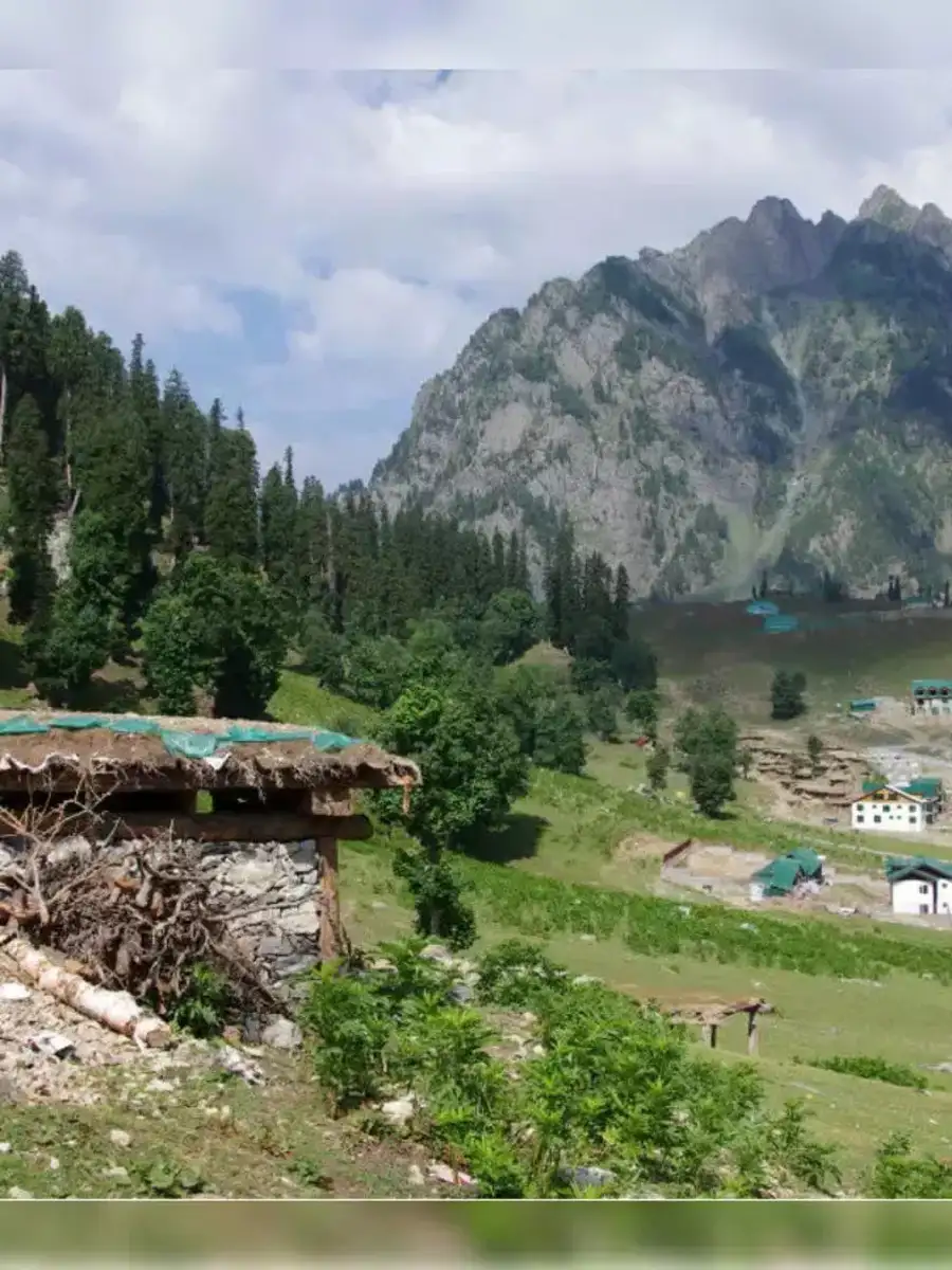 चटपाल, जम्मू कश्मीर - Chatpal, Jammu & Kashmir | Navbharat Times