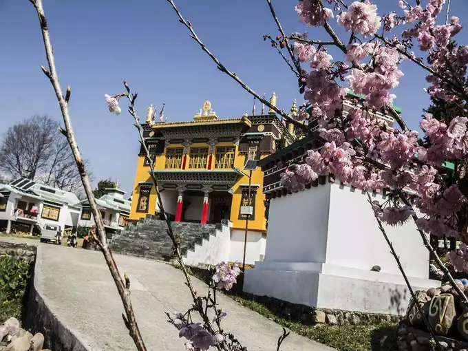 -chokling-monastery-in-bir-billing