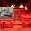 Rat Bite In Cinema Hall,థియేటర్‌లో మహిళను కరిచిన ఎలుక.. రూ.60,000 ఫైన్ ...