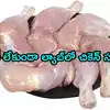 Artificial Chicken,Chicken: కోడితో పనిలేని చికెన్.. అమెరికాలో ...
