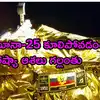 Russian Scientist,లూనా 25 కూలిపోయిన కొద్ది సేపటికే ఆస్పత్రిలో చేరిన ...