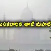 Effect of Delhi Air Pollution Taj Mahal disappears behind a blanket of ...