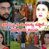Brahmamudi Today: నిజంగా తల్లైన స్వప్న.. వంటలక్క కథ రిపీట్.. అరుణ్ ...