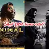 Animal Movie Sequel Title Unveiled - Animal: 'యానిమల్‌'కి సీక్వెల్ ...