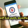 Check PF balance Use EPFO portal, Umang app, missed call, or SMS ...
