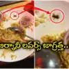 Dead Cockroach Found in Biryani at Jubilee Hills Barbeque Restaurant in ...