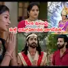 Naga Panchami Serial,Naga Panchami Today జనవరి 26 ఎపిసోడ్: కరాళిని ...