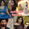 Naga Panchami Serial,Naga Panchami Today ఫిబ్రవరి 19 ఎపిసోడ్: కరాళి ...