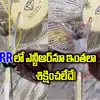 Viral Video Man Ties Rat To Fan Over Damaged Bluetooth Wire - ఎలుకను ...