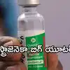 Covishield Vaccine,AstraZeneca: కోవిషీల్డ్‌ వ్యాక్సిన్‌‌పై ...