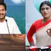 AP Assembly Election YS Sharmila Letter to CM Jagan Mohan Reddy with 9 ...