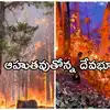 Uttarkhand Forest Fire,ఉత్తరాఖండ్‌‌ అడవుల్లో కార్చిచ్చుతో జనజీవనం ...