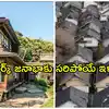 Akiya Houses,Japan: రికార్డుస్థాయిలో 90 లక్షలకు చేరిన ఖాళీ ఇళ్లు.. అసలు ...