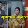 Karthika Deepam 2 Parijatham Shares Post on Actor Chandrakant Death ...