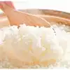 Rice Soaking Before Cook,అన్నం వండే ముందు బియ్యాన్ని నానబెడితే మంచిదా ...