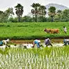 Telangana Rythu Runa Mafi 2024 Updates,తెలంగాణలో రైతు రుణ మాఫీ.. ఆ ...