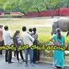 Hyderabad Nehru Zoo Park to Relocate to Shadnagar Forest - హైదరాబాద్ ...
