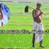 Rythu Runa Mafi Telangana,రూ. లక్షలోపు రుణమాఫీ కాలేదా?.. అయితే ఈ పని ...