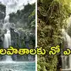 Andhra Pradesh Waterfalls,Waterfalls Alert: వాటర్ ఫాల్స్ చూసేందుకు ...