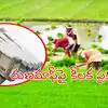 Tummala Nageswara Rao Over Rythu Runa Mafi Applies to Those Without ...