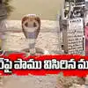 Drunk Woman Attacks Bus Driver with Beer Bottle and Snake in Hyderabad ...