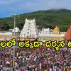 Tirumala Alipiri Divya Darshan Tokens Resumed Soon,తిరుమల శ్రీవారి ...