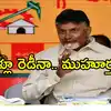 Nara Chandrababu Naidu Announce TDP Membership Drive On October 2nd ...