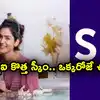 SBI Mutual Fund Nifty 500 Index Fund Now Open for Investment - SBI SIP ...