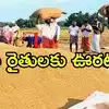 AP Govt Paddy Pprocurement Money Deposit to Farmers Accounts in 48 ...