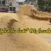 Paddy Purchase,అన్నదాతకు తీపి కబురు.. దసరా నుంచే, సిద్ధమైన రేవంత్ ...