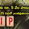 Monthly Rs 5000 Sip,SIP Calculator: ఒకేసారి చేతికి రూ. 50 లక్షలు, కోటి ...