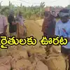 Nadendla Manohar Announces AP Paddy Procurement Money Released Within ...