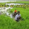 Andhra Pradesh Farmers Paddy Procurement Money In 48 Hours: ఏపీలో ...
