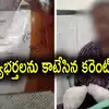 Bengaluru Woman Injured After Hair Dryer Exploded,కరెంట్‌షాక్‌తో జవాన్ ...