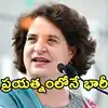 Wayanad By Election Results Live Update,Wayanad By Election Result ...