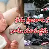 Real Story Of An Orphan,రియల్ స్టోరీ: అమ్మా అంటూ విసిగిపోయా.. కర్మా ...