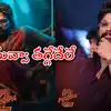 Pushpa 2 Pre Release Business,పుష్ప 2 బడ్జెట్‌, ప్రీ రిలీజ్‌ బిజినెస్ ...