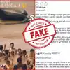 Snake In Maha Kumbh,మహా కుంభమేళాలో 100 అడుగుల భారీ సర్పం.. ఆ వైరల్ ...