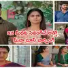 Gunde Ninda Gudi Gantalu Serial,Gunde Ninda Gudi Gantalu Today ఫిబ్రవరి ...