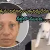 Woman Kills Dog In Airport,కుక్కను తీసుకుని విమానం ఎక్కనివ్వలేదని.. ఇంత ...
