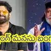 Mithun Chakraborty,Fouji: ప్రభాస్‌ అద్బుతమైన వ్యక్తి.. బాలీవుడ్ సీనియర్ ...