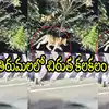 Leopard Spotted At Tirumala Ghat Road,తిరుమలలో పరుగులు పెట్టిన చిరుత ...