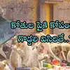 Up Man Throws Axe At Monkeys,ఎంత పనైంది.. కొడుకును కాపాడేందుకు ...