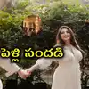 Chiranjeevi At Akhil Zainab Ravdzee Wedding,అఖిల్, జైనబ్ పెళ్లి వేడుక ...