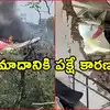 Ahmedabad Air India Flight Crash,Ahmedabad Flight Crash: పక్షి ...