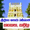 Srisailam Temple Bombs And Bullets,శ్రీశైలంలో కలకలం.. ఆలయ సమీపంలో ...