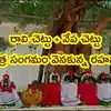 Raavi Chettu Pooja Ela Cheyali,రావి చెట్టు + వేప చెట్టును కలిపి ఎందుకు ...