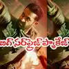 Jr Ntr War 2 Update,NTR: ‘వార్‌ 2’.. బిగ్ అప్డేట్ ఇచ్చిన జూనియర్ ...