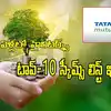 టాటా మ్యూచువల్ ఫండ్,అదరగొట్టిన Tata స్కీమ్.. 5ఏళ్లలో ఊహించని రిటర్న్స్ ...