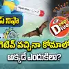 Nipah Virus Survivors Kerala,నిఫా నుంచి కోలుకున్నా.. కోమాలోనే ఇద్దరు ...